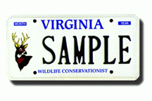 Wildlife Whitetail Deer | Virginia Department of Motor Vehicles