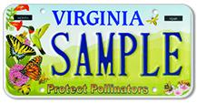 Protect Pollinators | Virginia Department of Motor Vehicles